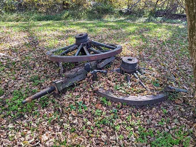 Abandoned wagon wheels resting on a leaf-covered forest floor, quietly telling stories no textbook ever quite captured.