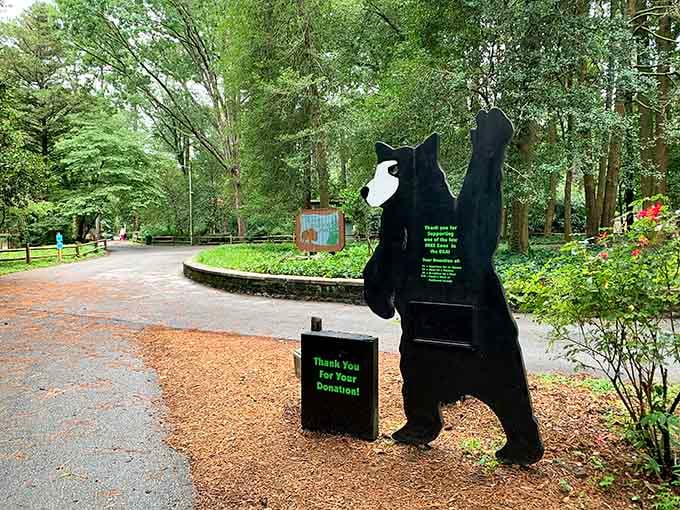 Even the donation station has personality. A bear holding a box is basically the zoo's most charming ambassador.