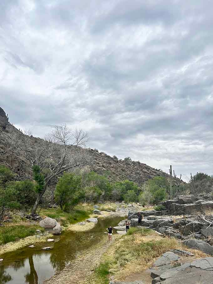 Creek crossings ahead mean wet feet are inevitable, so embrace the splash and enjoy the journey.