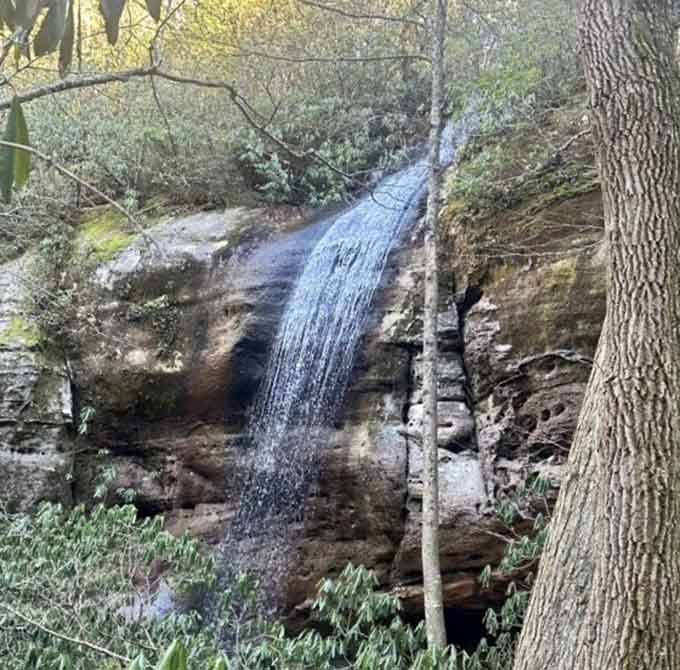A waterfall tucked into the rhododendron along the trail, because apparently one jaw-dropping sight wasn't enough for this hike.
