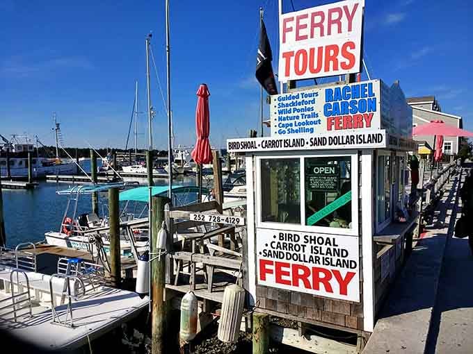 The Rachel Carson Ferry sign on the Beaufort waterfront is your golden ticket. Bird Shoal, Carrot Island, and Sand Dollar Island are all waiting.