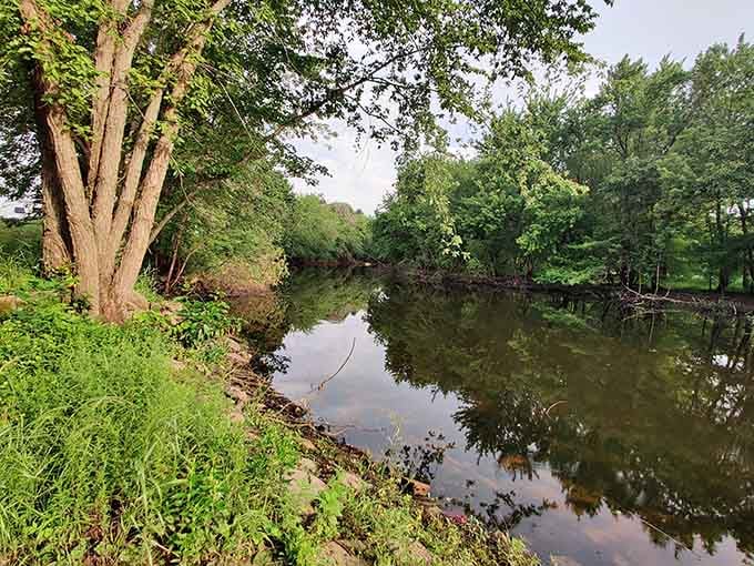 Still waters, tall trees, and a river that moves at exactly the right pace. Nature at its finest.
