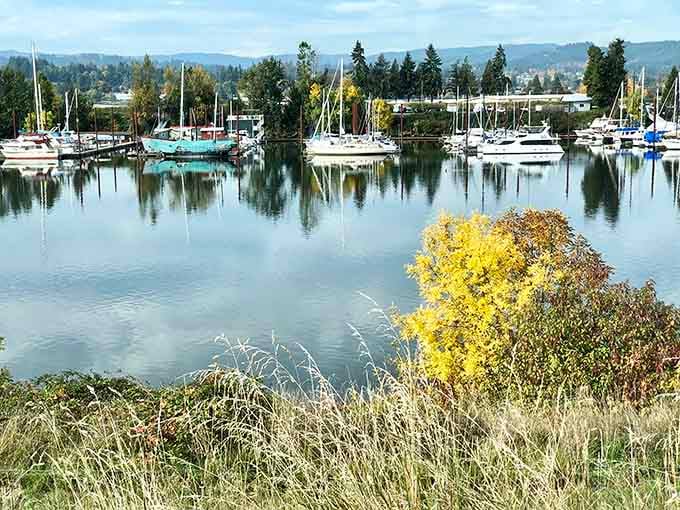 Sailboats rest in the marina as autumn color creeps in, a scene so peaceful it feels almost unfair.