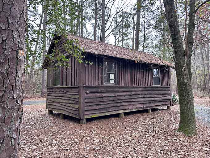 Rustic, sturdy, and tucked among the trees. This cabin at Singletary Lake looks like it has excellent stories and zero Wi-Fi.