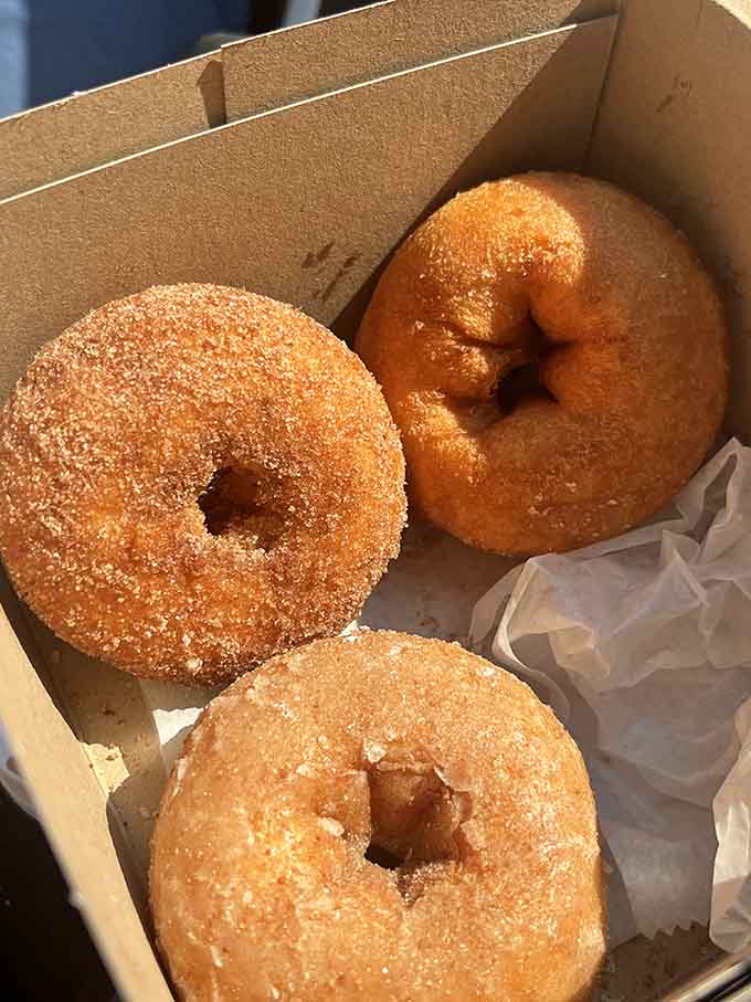 Cinnamon sugar donuts fresh from the fryer, the kind that make you stop mid-sentence and just close your eyes.