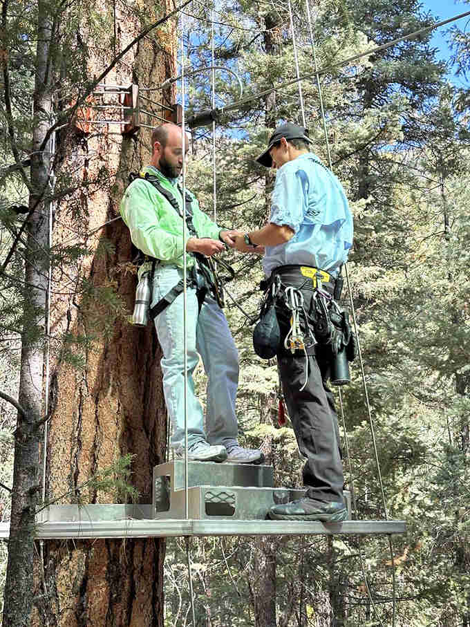 The pre-flight safety check, where professionals ensure your gear works better than your knees will tomorrow morning.