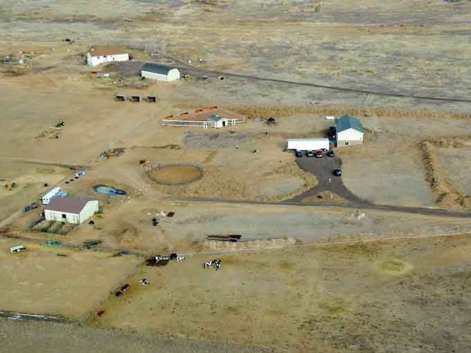 From up here, SonFlower Ranch looks like a little world of its own, quietly thriving on the Colorado plains.