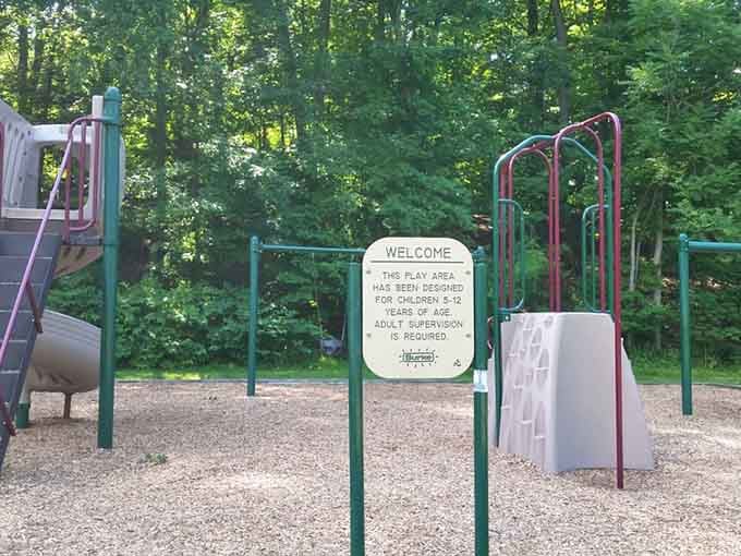 A solid playground tucked into the trees, because the kids deserve something great too, not just the adults.