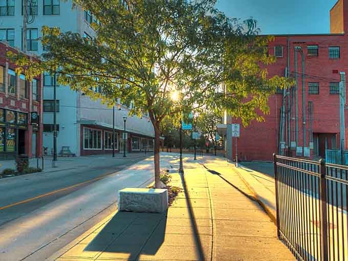 Downtown Springfield catches the golden hour like a city that knows exactly how good it has it.