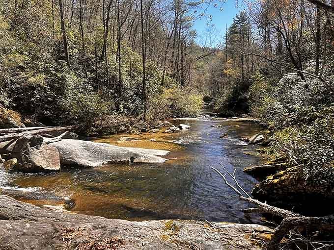Steeles Creek moves at its own pace, clear and unhurried, like it has nowhere better to be.