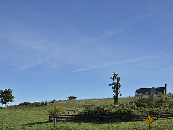 Rolling green hills, wide open sky, and a farmhouse perched perfectly. Rural Virginia at its most honest.