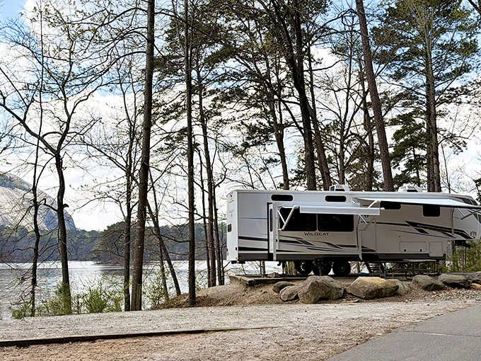 Park your RV lakeside and live your best life, assuming your best life involves grilling and zero commute stress.