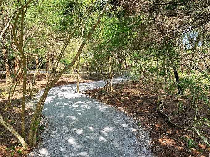 Dappled light, a gravel path, and zero crowds. The trail through the woods here is genuinely restorative.