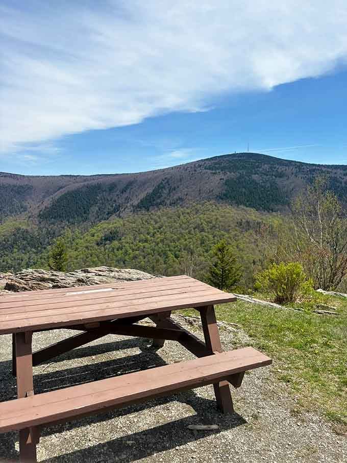 Prime real estate for your sandwich, with a view that costs nothing but makes you feel rich.