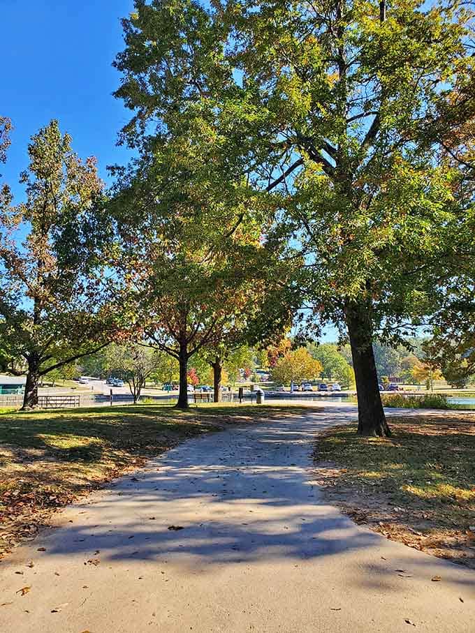 A tree-lined path in fall that makes you feel like you're walking through a painting someone forgot to finish.