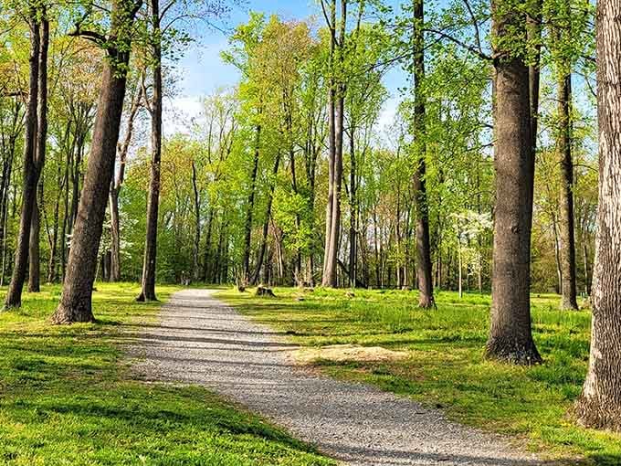 Tall trees, fresh air, and a gravel path that practically begs you to follow it somewhere wonderful.