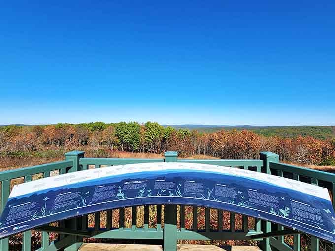 The observation deck at the summit gives you the kind of panoramic view that resets your entire outlook on life.