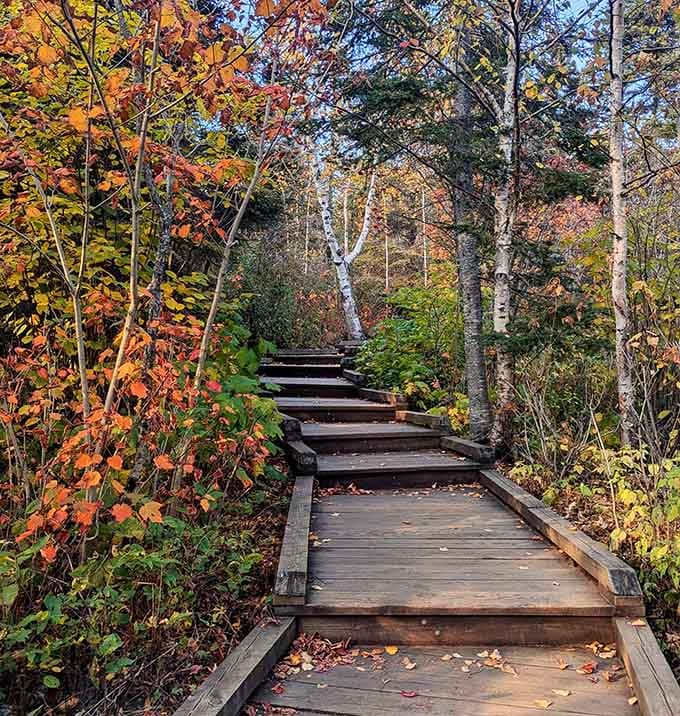 Wooden steps climb through a blaze of autumn color, each plank leading you closer to something genuinely worth seeing.