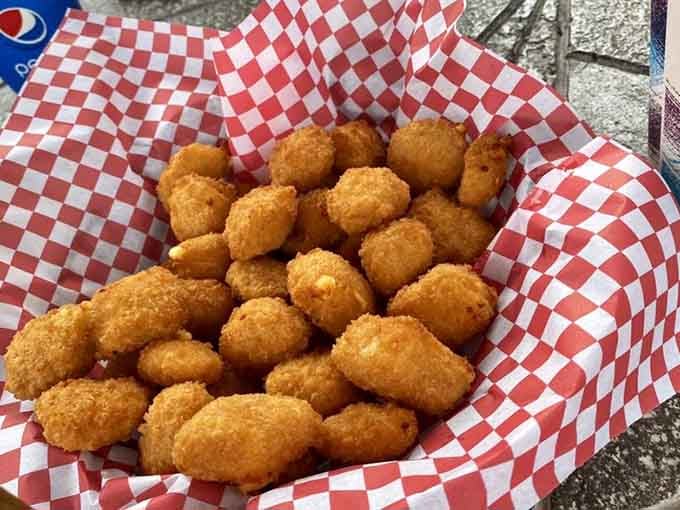 A mountain of cheese curds so perfectly golden, even Wisconsin would tip its hat in respect.