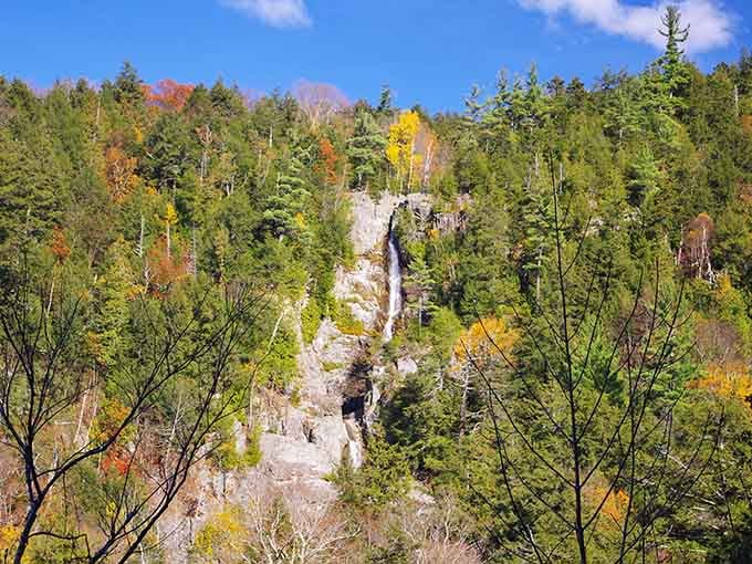 Roaring Brook Falls drops straight down a cliff face, completely unbothered and absolutely magnificent about the whole thing.