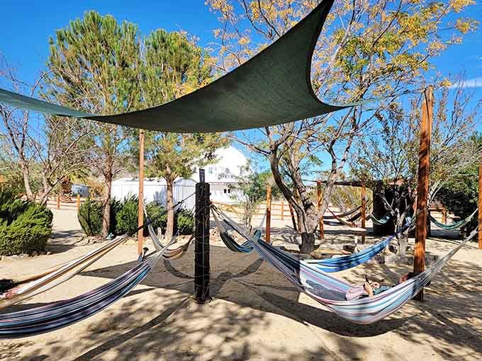 Colorful hammocks swaying under a shaded canopy, because after a sound bath, you deserve a proper horizontal moment.