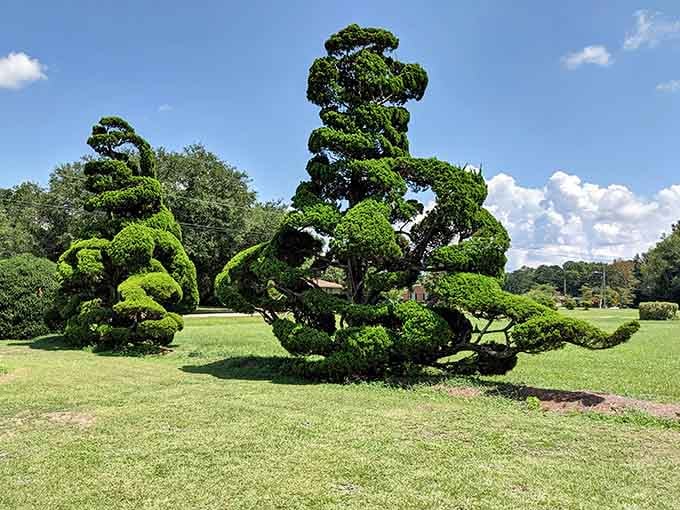Two dramatically sculpted trees reach toward a summer sky, looking like they wandered straight off a Japanese woodblock print.