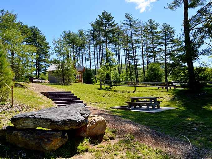 Picnic tables under tall pines, where the only thing on the agenda is absolutely nothing.