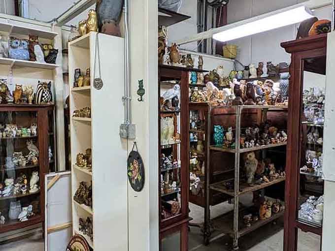 More owls. So many owls. Connecticut's most dedicated collection of ceramic birds is absolutely judging your life choices.