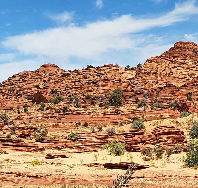 Layers of sandstone ripple across the landscape, each stripe a chapter from an ancient geological story.