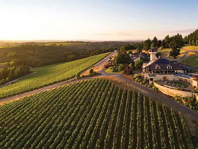 From up here, the Willamette Valley looks less like Oregon and more like a painting someone forgot to finish.