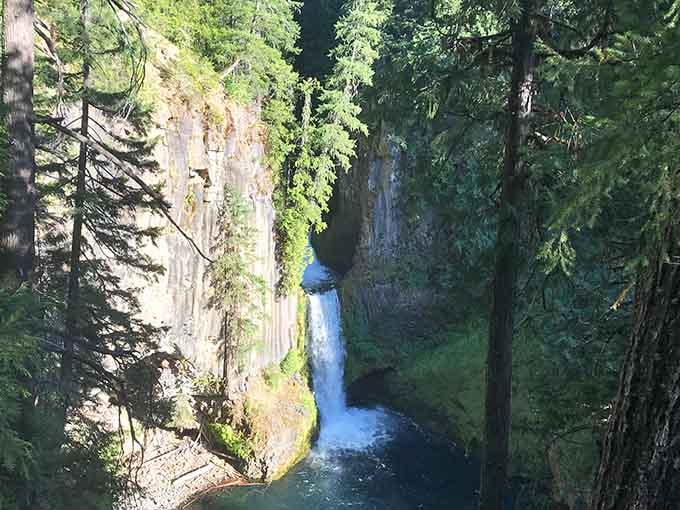 Looking down into that turquoise pool feels like discovering a secret the forest has been keeping.