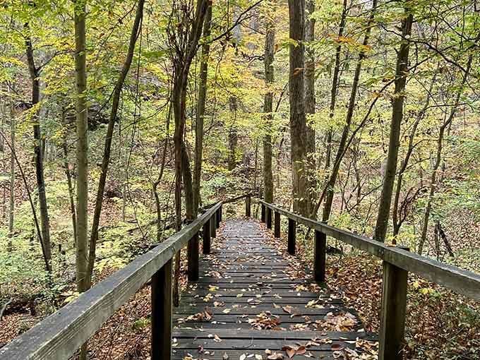 A boardwalk through autumn gold at Turkey Run, where every fallen leaf is basically nature's confetti.