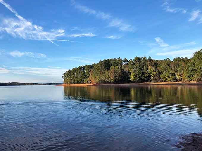 Lake Hartwell on a calm day looks like nature decided to show off, and honestly, good for it.