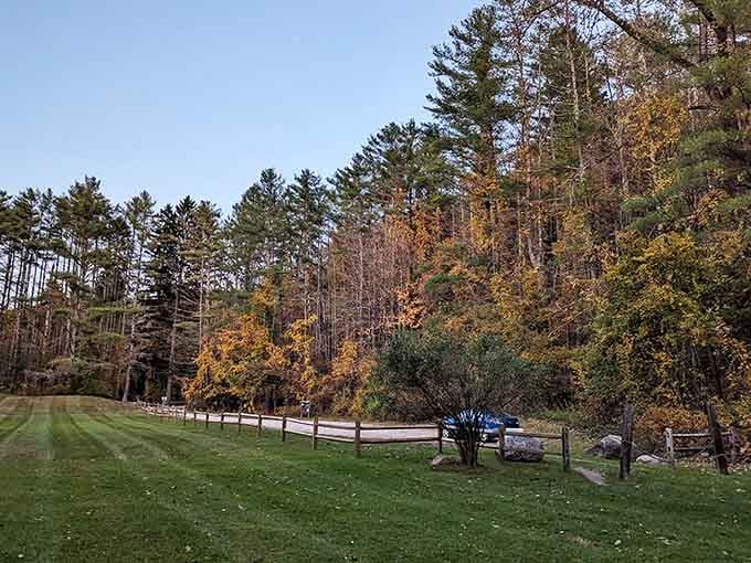 Tall pines frame the park entrance like nature's own welcome committee, no velvet rope required.