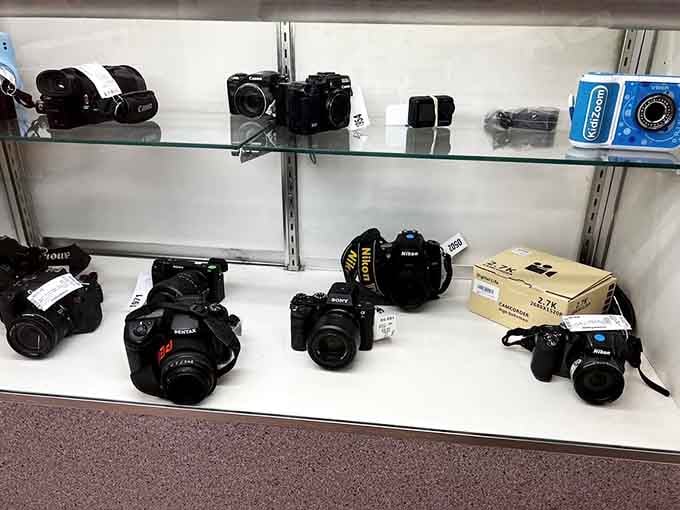 Canon, Nikon, Sony, Pentax, all lined up together like a reunion nobody planned but everyone attended.