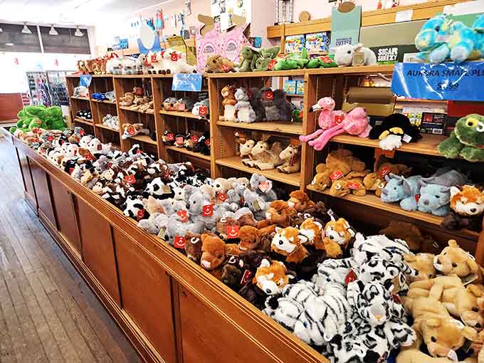 Rows of plush animals so irresistibly soft and wide-eyed, leaving without one requires genuine willpower.