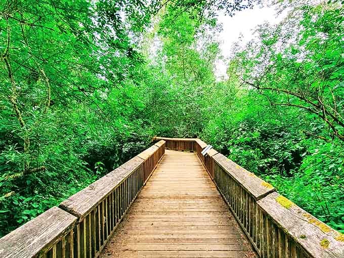 Walking into this green tunnel of a boardwalk feels like the forest is personally welcoming you inside.