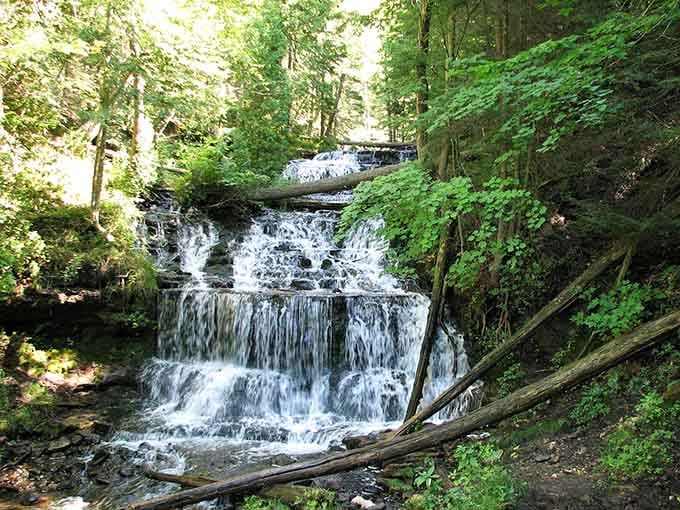 Wagner Falls spreads wide across dark rock shelves, framed by fallen logs and bright green leaves.