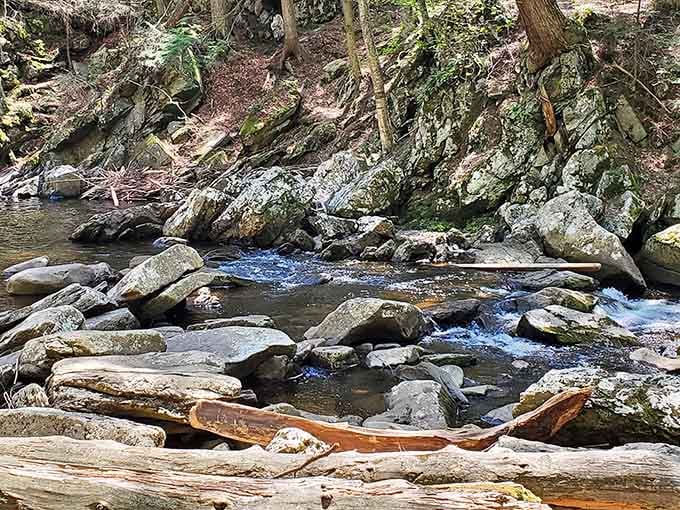 Downstream from the main event, the creek continues its peaceful journey through the woods.
