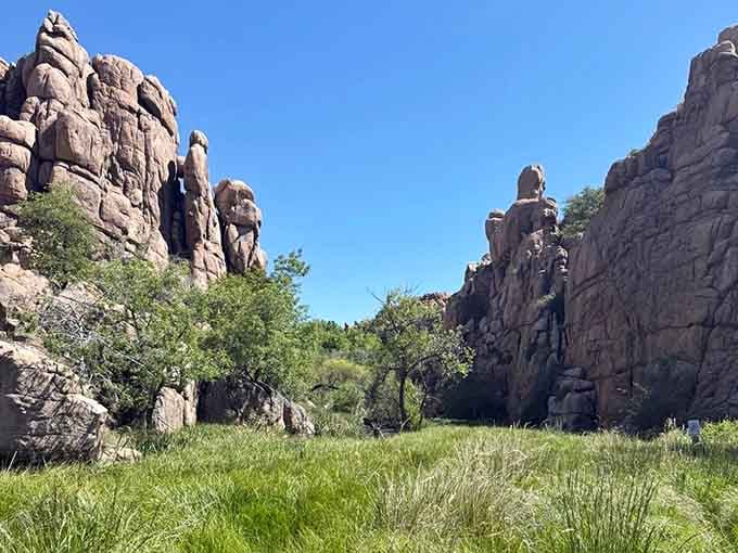 Towering granite spires frame a lush green meadow like a scene straight out of a fantasy novel.