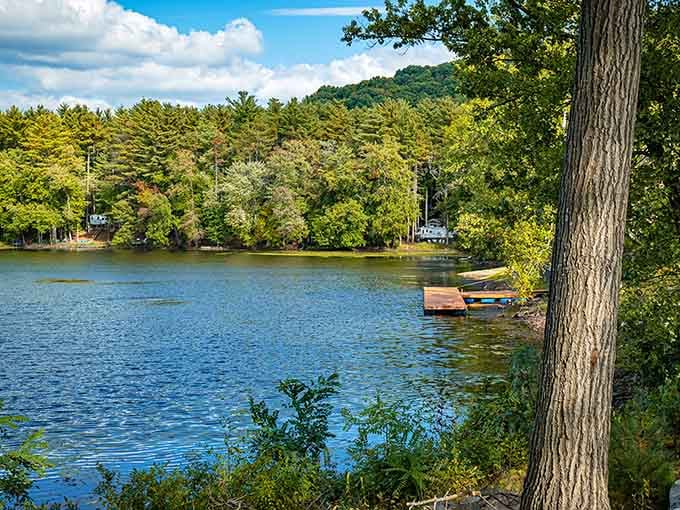 Still water, tall trees, and a dock just waiting for someone to sit down and stop rushing.