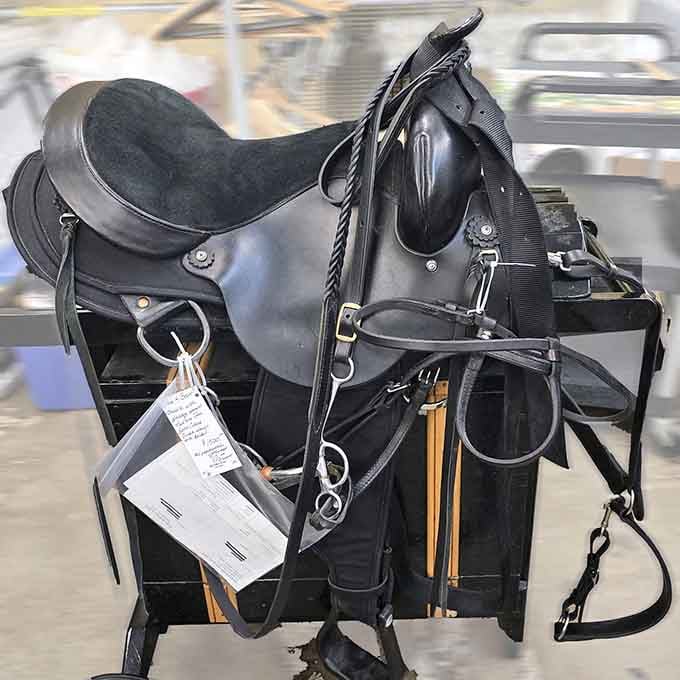 A complete saddle package sits ready, because apparently even equestrians shop thrift in Mesa.
