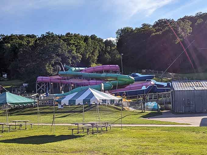 Those water slides twist and turn like your stomach will once you're halfway down the first one.