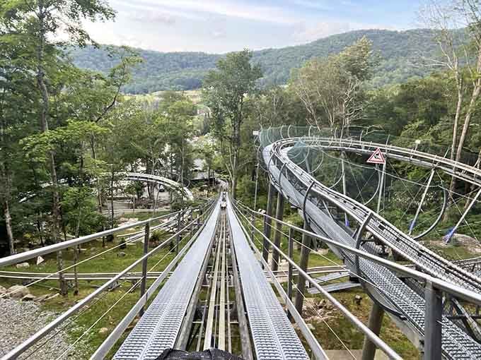 The track curves through summer greenery like a steel ribbon gift-wrapped by Mother Nature herself.