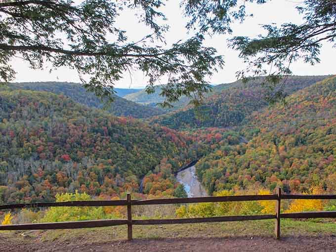 Fall arrives at Worlds End State Park and immediately starts showing off, painting the canyon in every warm color imaginable.