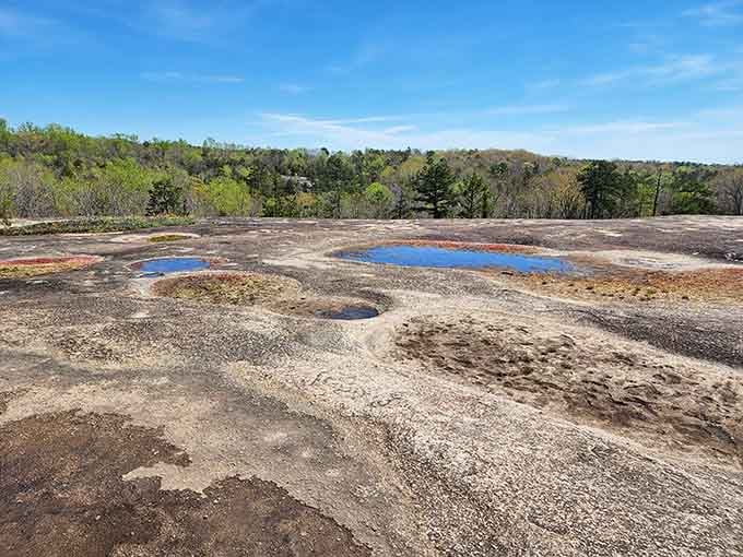 Rain-filled vernal pools scattered across 40 Acre Rock's granite surface look like tiny mirrors reflecting the Carolina sky.