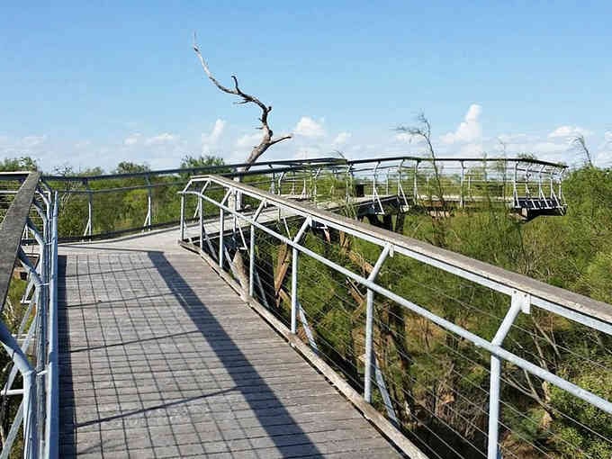 The elevated walkway lets you stroll through treetops like a bird without the hassle of growing feathers.
