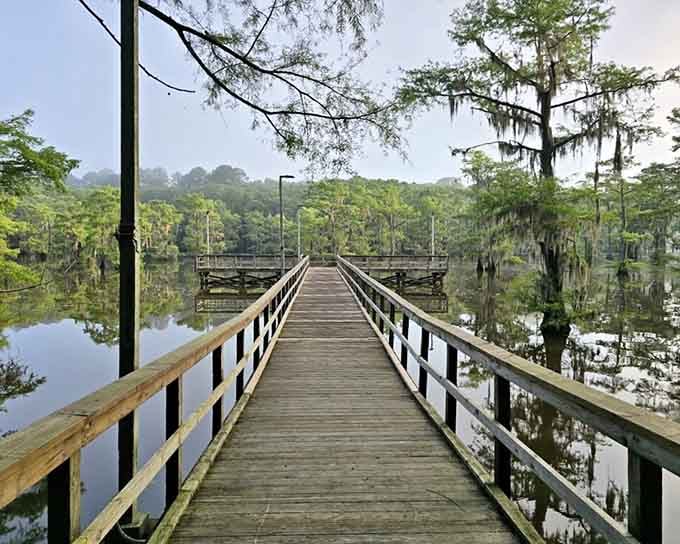 Morning mist softens the cypress trees along this fishing pier, giving Caddo Lake the mood of a dream sequence.
