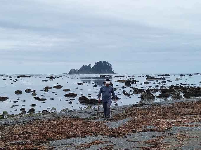 One lone explorer with a walking stick reminds us that Cape Alava rewards those who show up anyway.