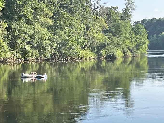 Perfect reflections on glassy water show why the Cedar River earned its reputation as a hidden gem near the city.